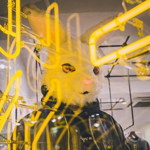 We are Fxxking Rabbits / #FR2